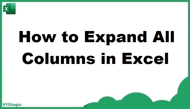 XYOLogic Microsoft Excel Easy Tutorial With Video