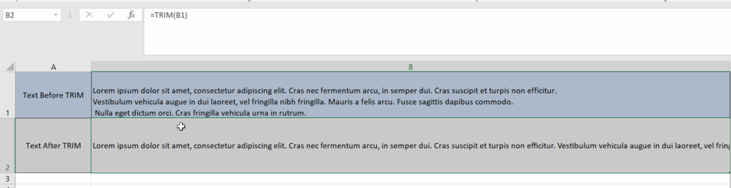 Excel TRIM Function: The Ultimate Guide
